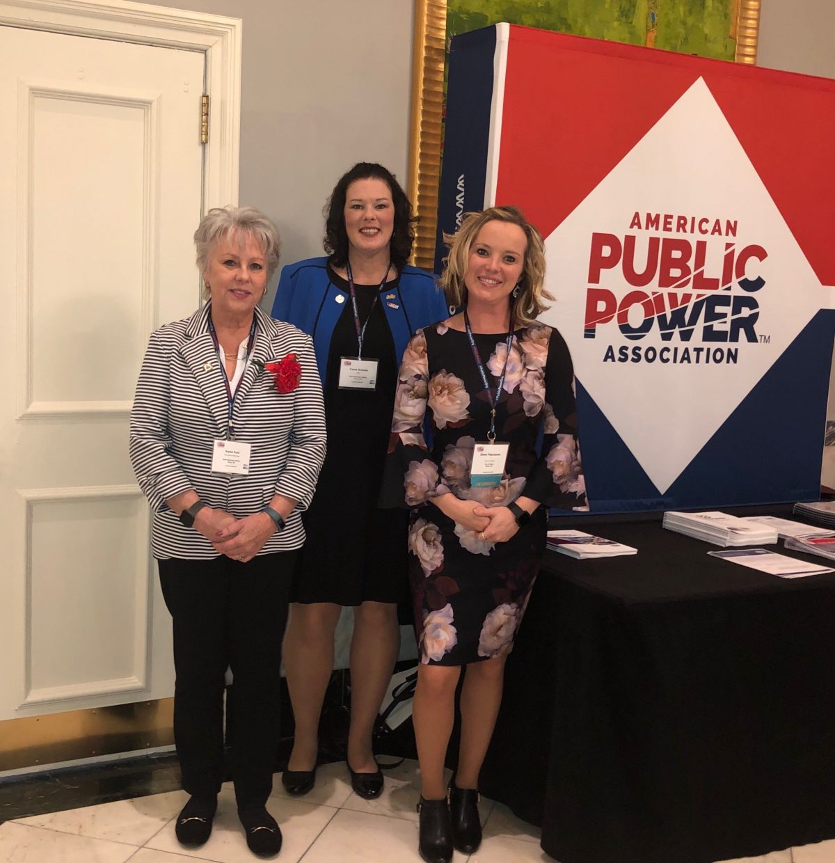 City Representatives Take Electric Issues to Capitol Hill – BMU
